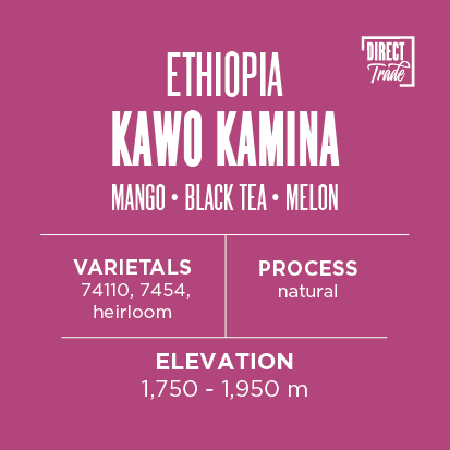 Ethiopia Kawo Kamina | Wholesale Partners